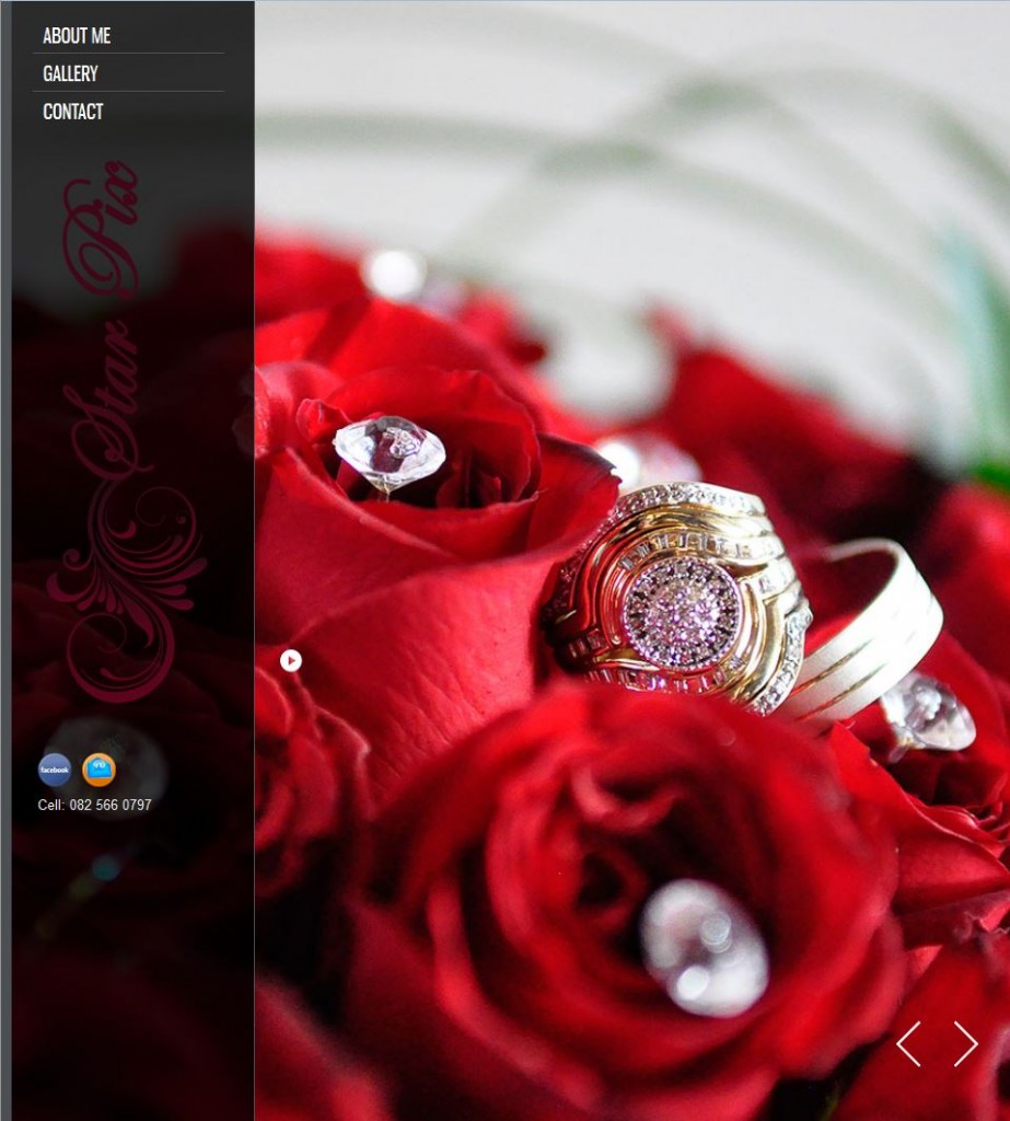 Amphibic Design- Amphibic Web Design Portfolio - Starpix